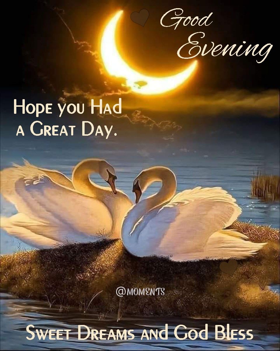 Twin Swan - Good Evening Pictures, Photos, and Images for Facebook ...