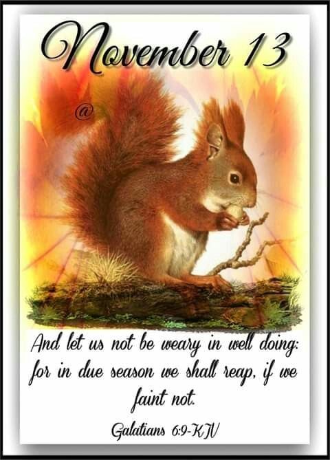 November 13 Blessing Pictures, Photos, and Images for Facebook, Tumblr ...