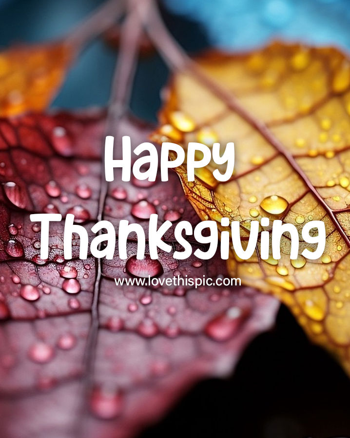 Colorful Leaf - Happy Thanksgiving Pictures, Photos, and Images for ...