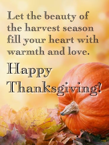 Let The Beauty Of The Harvest Season Fill Your Heart With Warmth And ...