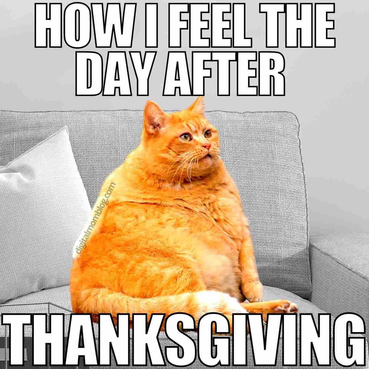 How I Feel The Day After Thanksgiving Pictures, Photos, and Images for ...