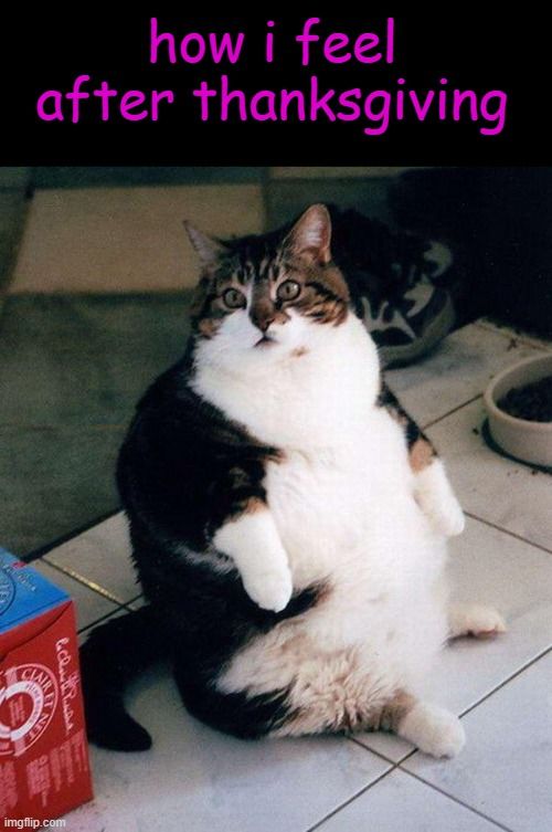 How I Feel After Thanksgiving Pictures, Photos, and Images for Facebook ...