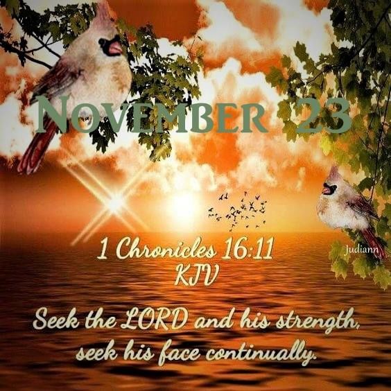 November 23: Seek The Lord And His Strength, Seek His Face Continually ...