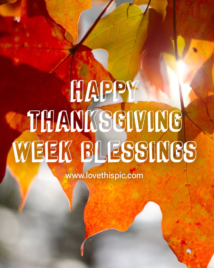 Happy Thanksgiving Blessings To You On This Holiday Week Pictures ...