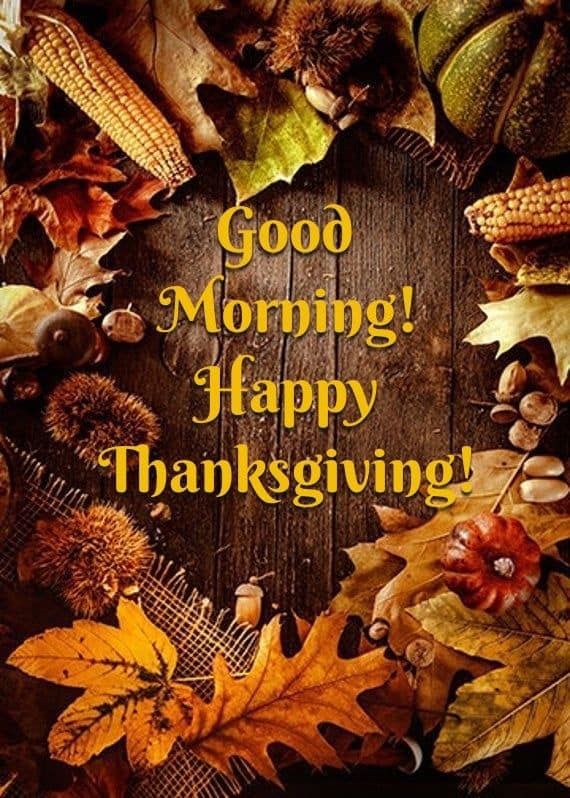 Good Morning! Happy Thanksgiving! Pictures, Photos, and Images for ...