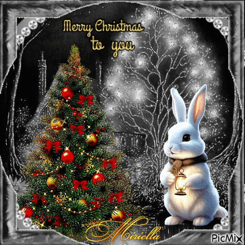 Holiday Bunny - Merry Christmas To You Pictures, Photos, and Images for ...