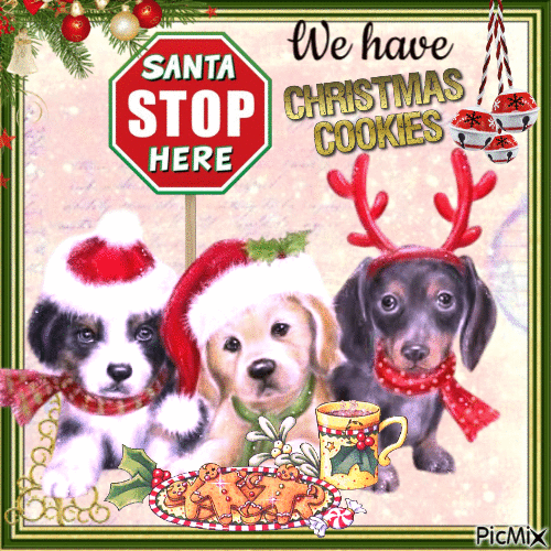 Santa Stop Here. We Have Christmas Cookies Pictures, Photos, and Images ...