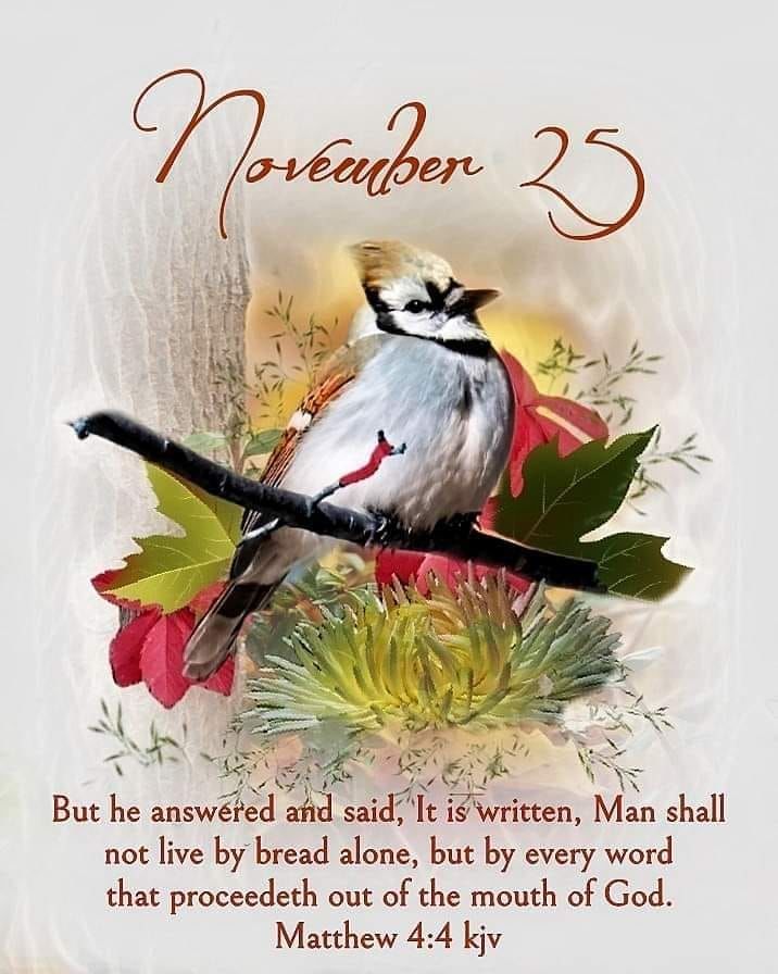 November 25 Pictures, Photos, and Images for Facebook, Tumblr ...