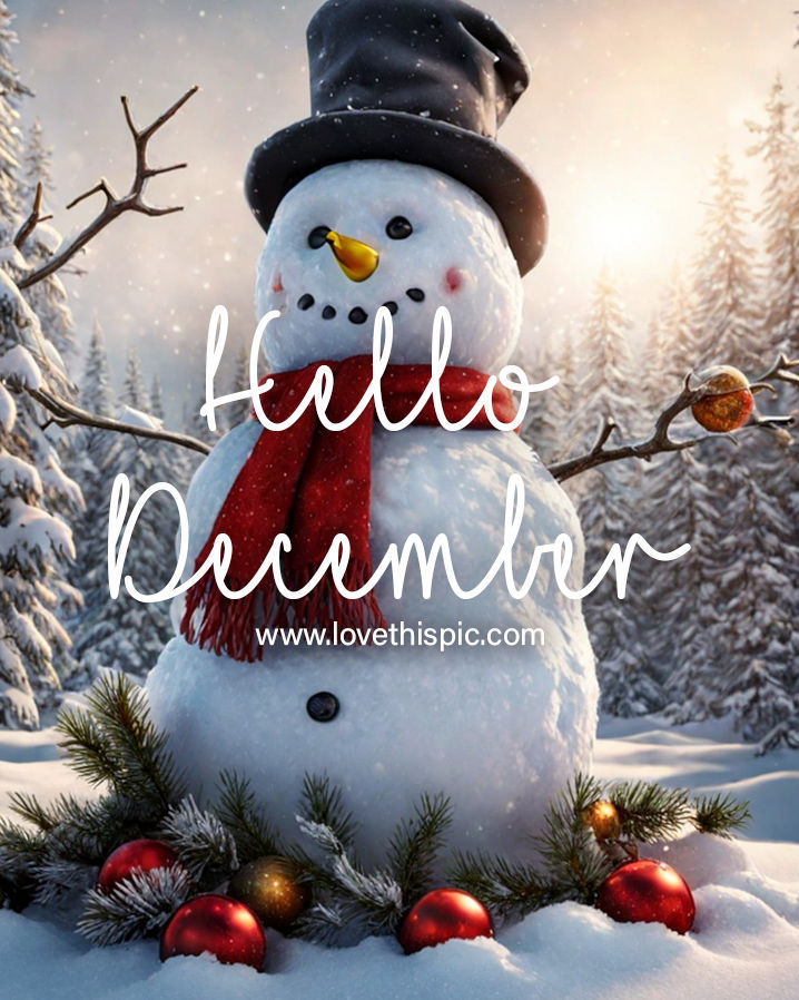 Ornament Snowman - Hello December Pictures, Photos, and Images for Facebook, Tumblr, Pinterest ...