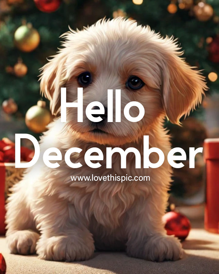 Hello December Puppy Pictures, Photos, and Images for Facebook, Tumblr ...