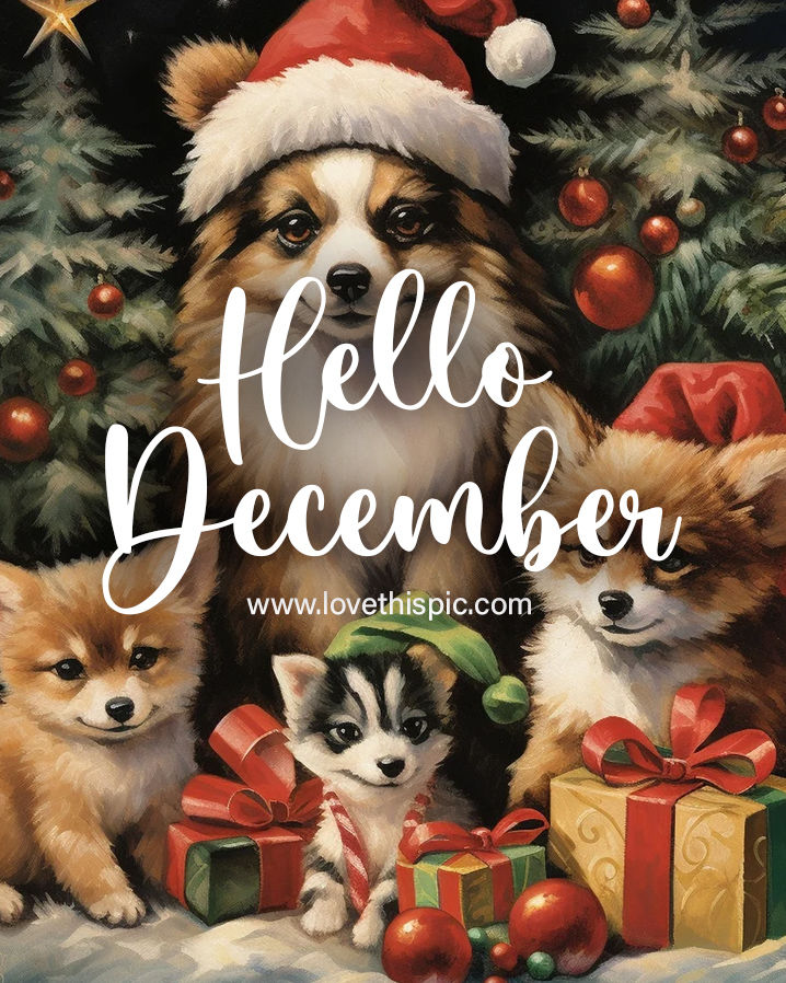 Christmas Animals - Hello December Pictures, Photos, and Images for ...