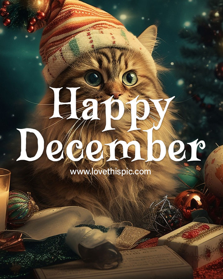Holiday Cat - Happy December Pictures, Photos, and Images for Facebook ...
