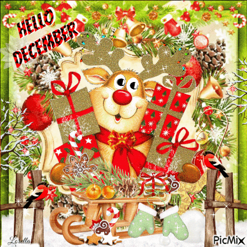 Hello December Reindeer Gif Pictures, Photos, and Images for Facebook ...