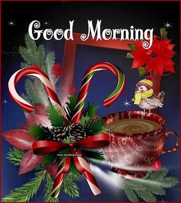 Good Morning Candy Cane Greeting Pictures, Photos, and Images for ...