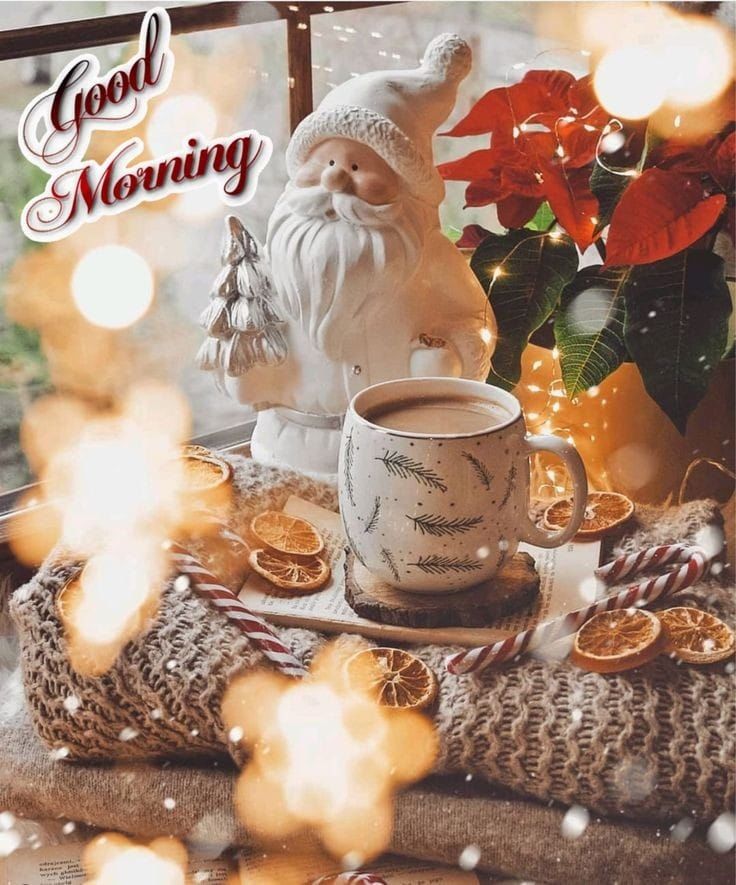 Good Morning Gnome Pictures, Photos, and Images for Facebook, Tumblr ...