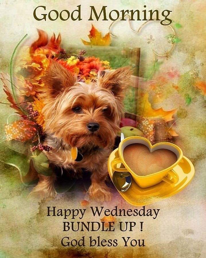 Have A Great Wednesday! Bundle Up And Stay Safe. God Bless Pictures ...