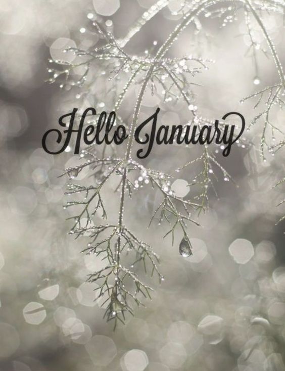 Hello January Greeting Quote Pictures, Photos, and Images for Facebook ...