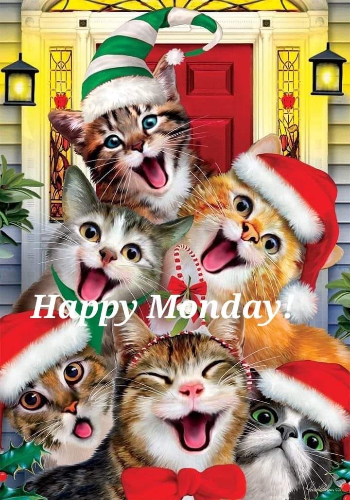 Happy Monday Greeting With Happy Kittens Pictures, Photos, and Images ...