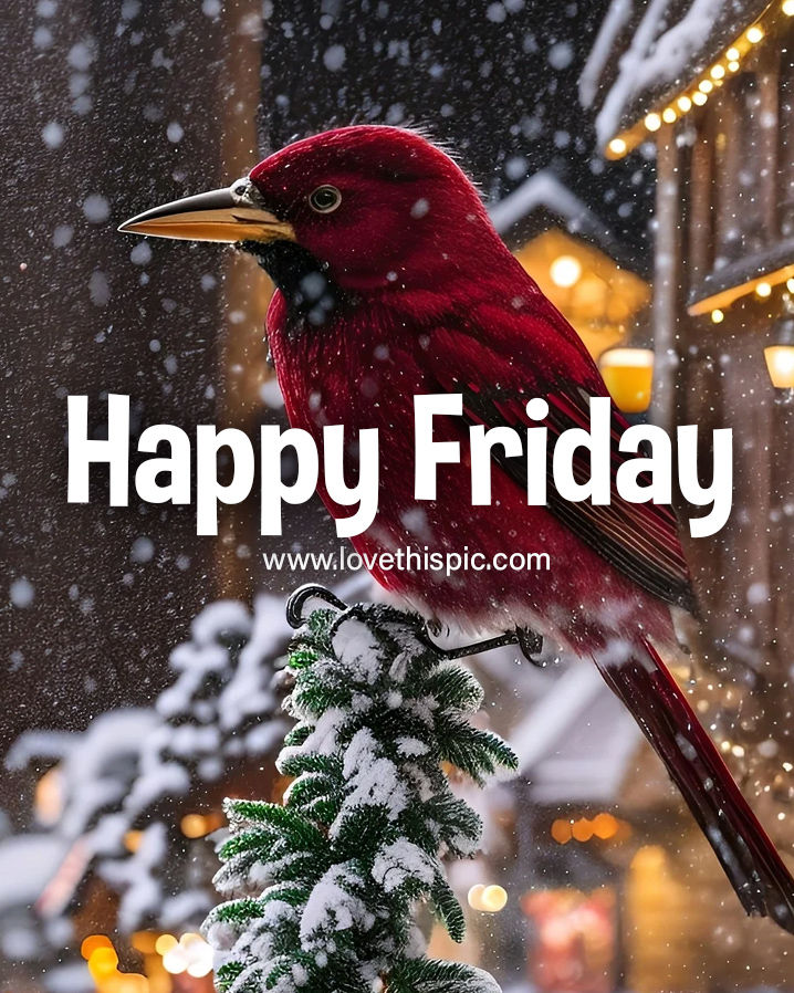 Red Bird - Happy Friday Message Pictures, Photos, and Images for ...