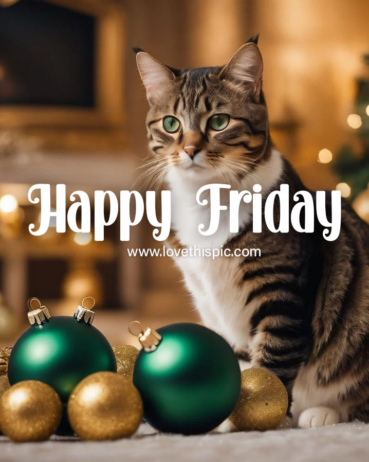 Cat With Ornaments - Happy Friday Pictures, Photos, and Images for ...