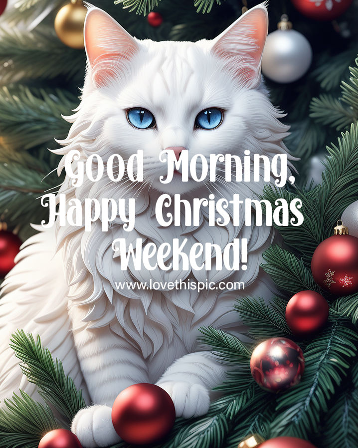 Happy Christmas Morning & Weekend Pictures, Photos, and Images for ...