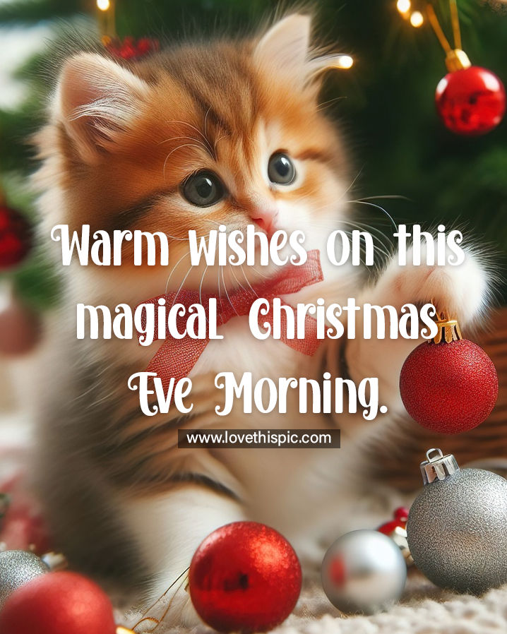 Warm Wishes On This Magical Christmas Eve Morning. Pictures, Photos ...