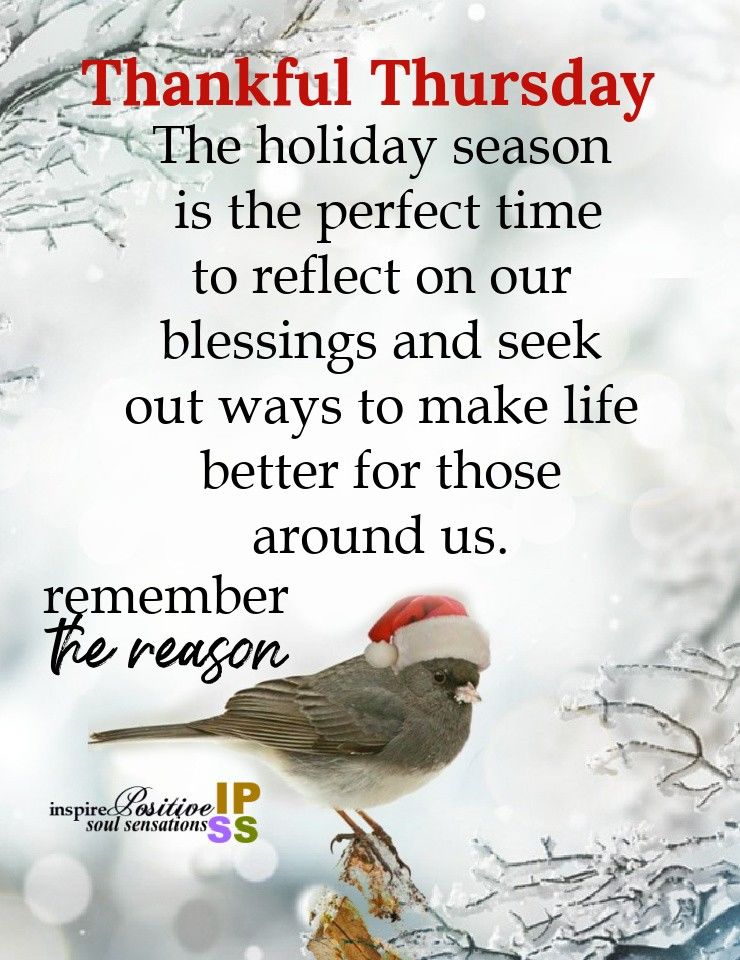Thankful Thursday For The Holiday Season Pictures, Photos, and Images ...