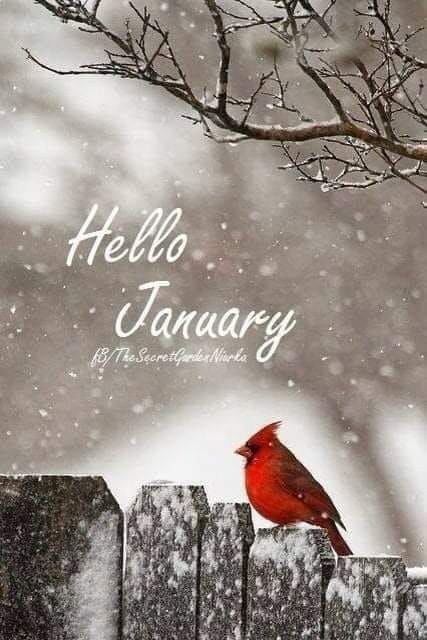 Hello January Pictures, Photos, and Images for Facebook, Tumblr ...