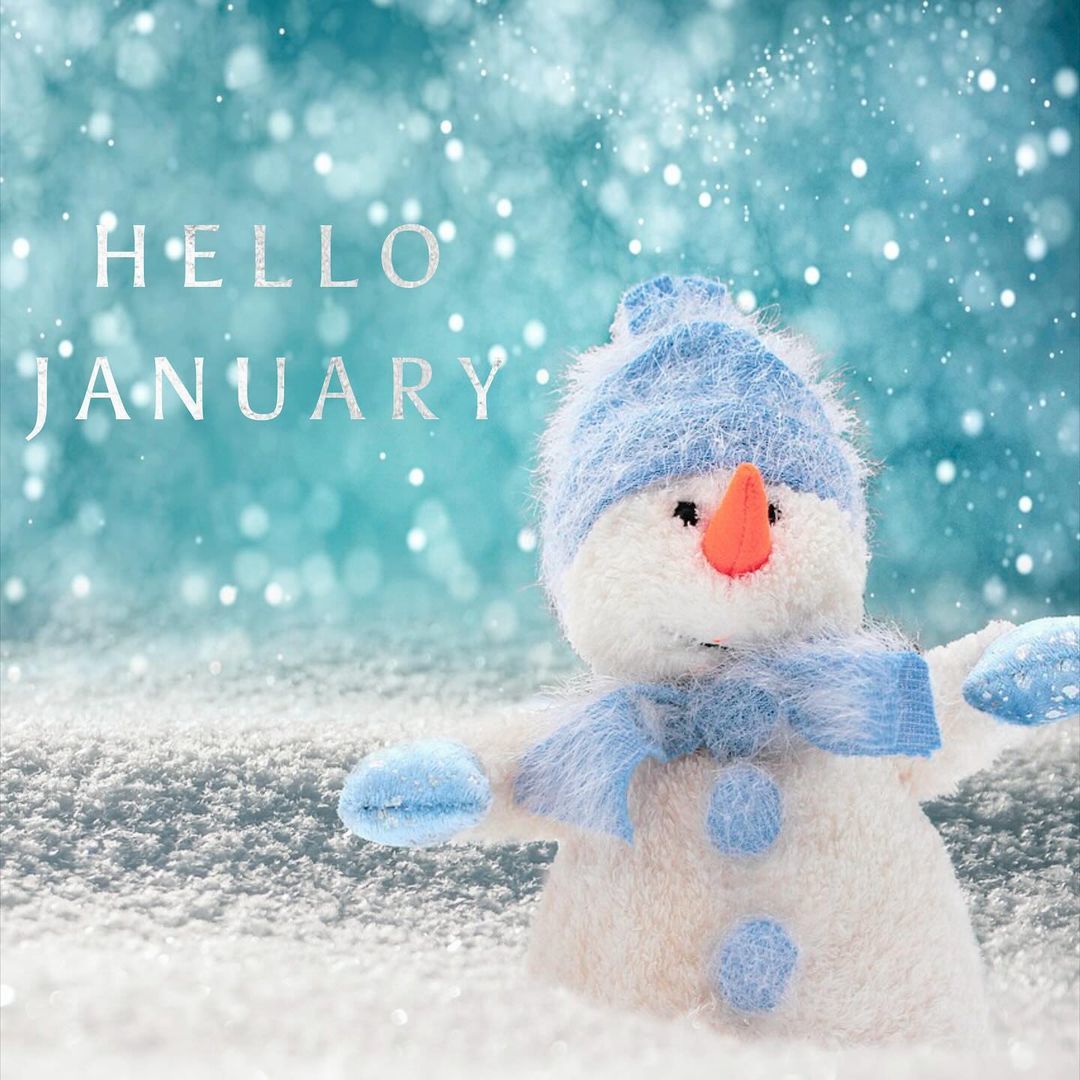 Little Snowman - Hello January Pictures, Photos, and Images for ...