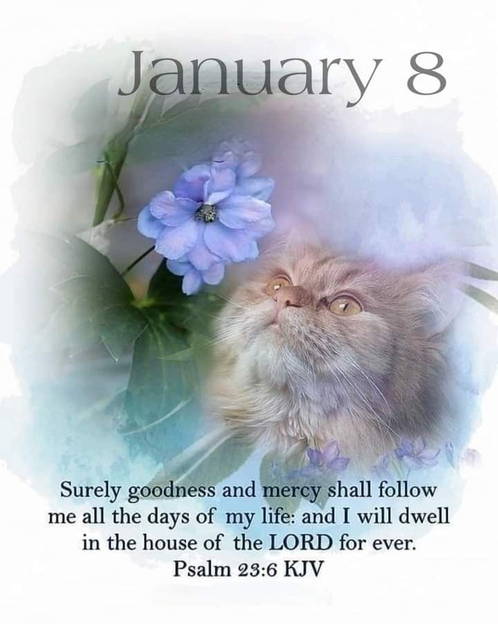 January 8 Bible Verse Pictures, Photos, and Images for Facebook, Tumblr ...