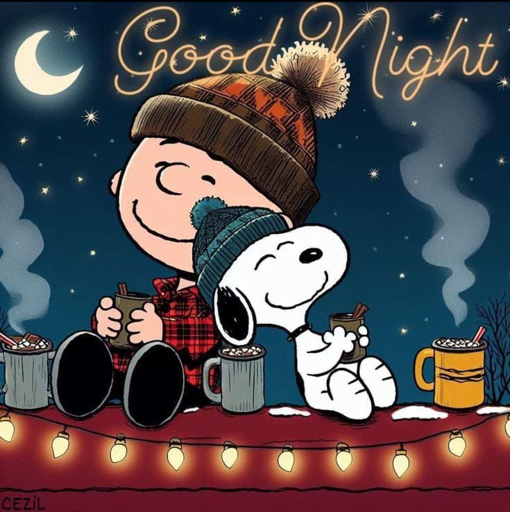 Good Night Snoopy & Charlie Pictures, Photos, and Images for Facebook ...