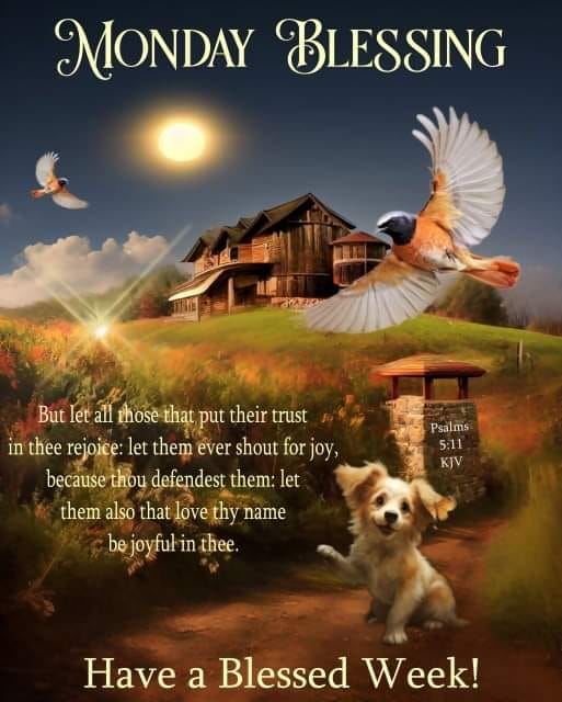 Blessed Monday Blessing. Have A Blessed Week Pictures, Photos, and ...