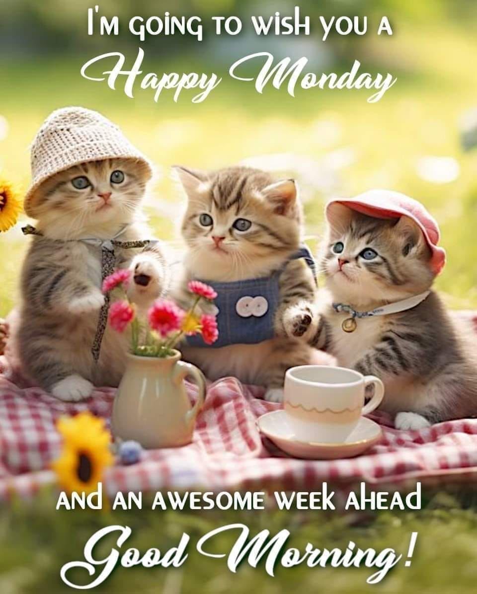 I'm Going To Wish You A Happy Monday Pictures, Photos, and Images for ...