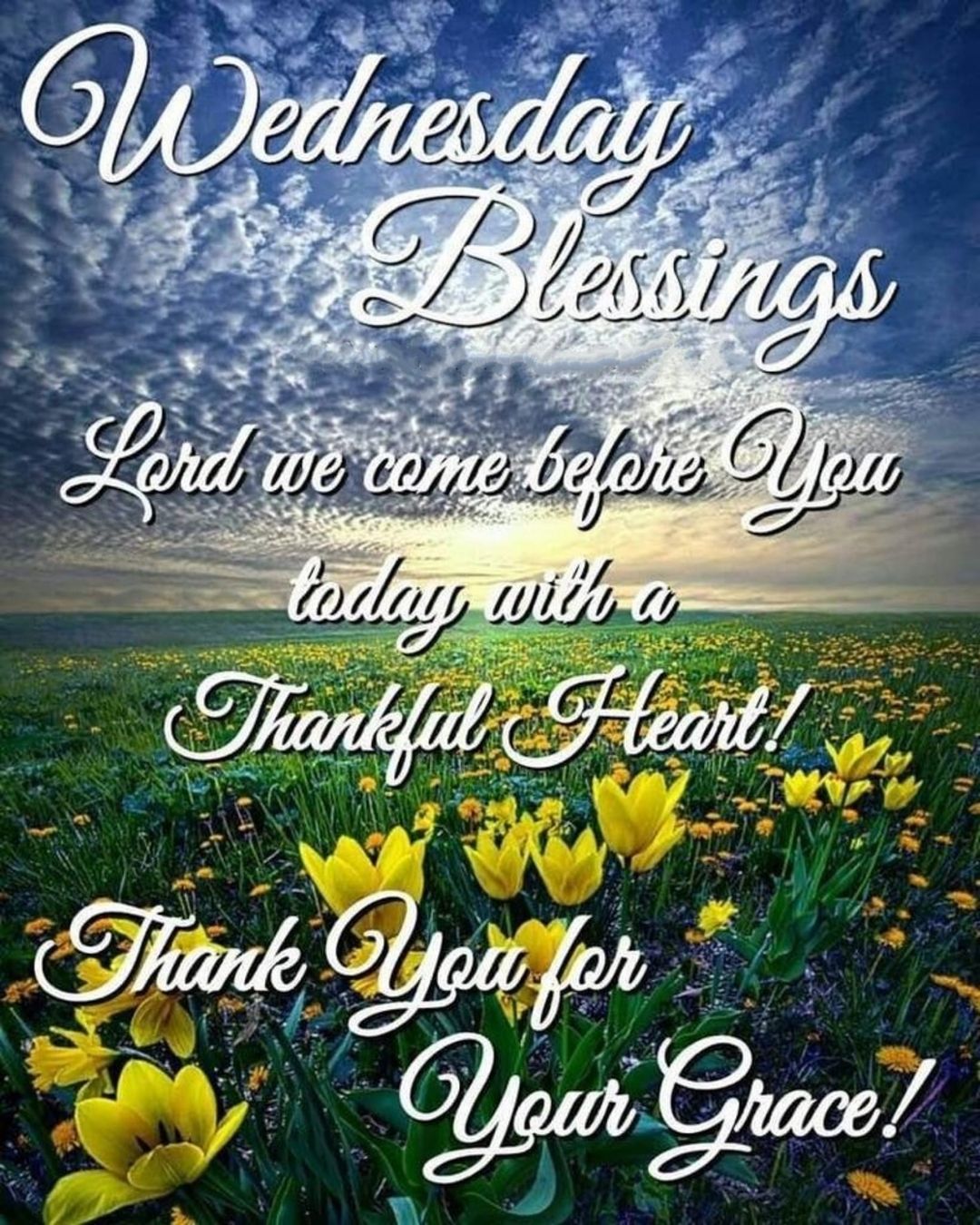 Wednesday Blessings, Thank You For Your Grace! Pictures, Photos, and ...