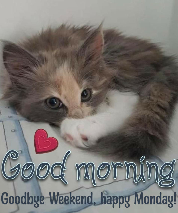 Goodbye Weekend, Happy Monday! Pictures, Photos, and Images for ...