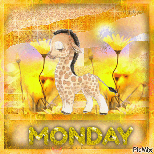 Monday Giraffee Pictures, Photos, and Images for Facebook, Tumblr ...