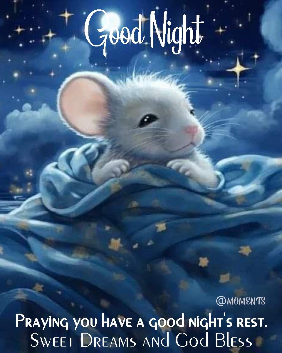 Sleepy Mouse - Good Night Pictures, Photos, and Images for Facebook ...