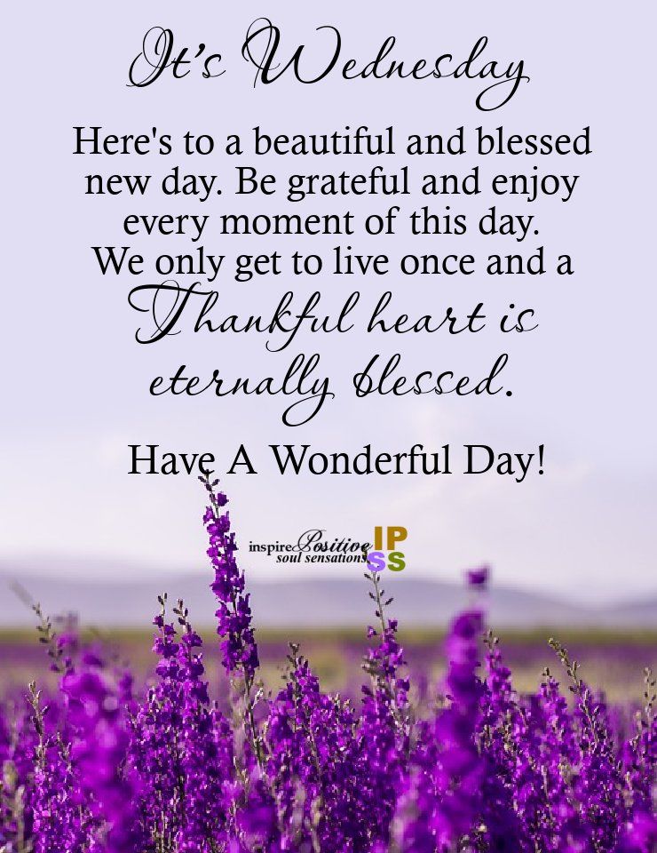 Here's To A Beautiful And Blessed New Day. Be Grateful And Enjoy Every ...