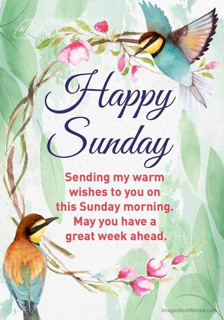 Happy Sunday. Sending My Warm Wishes To You On This Sunday Morning ...