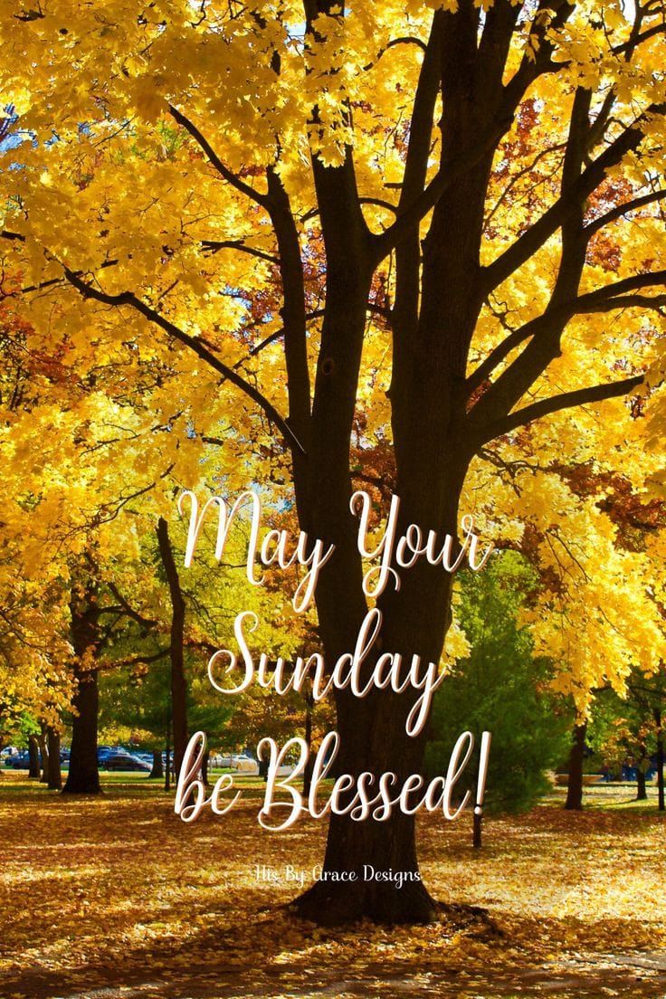 May Your Sunday Be Blessed Pictures, Photos, and Images for Facebook ...