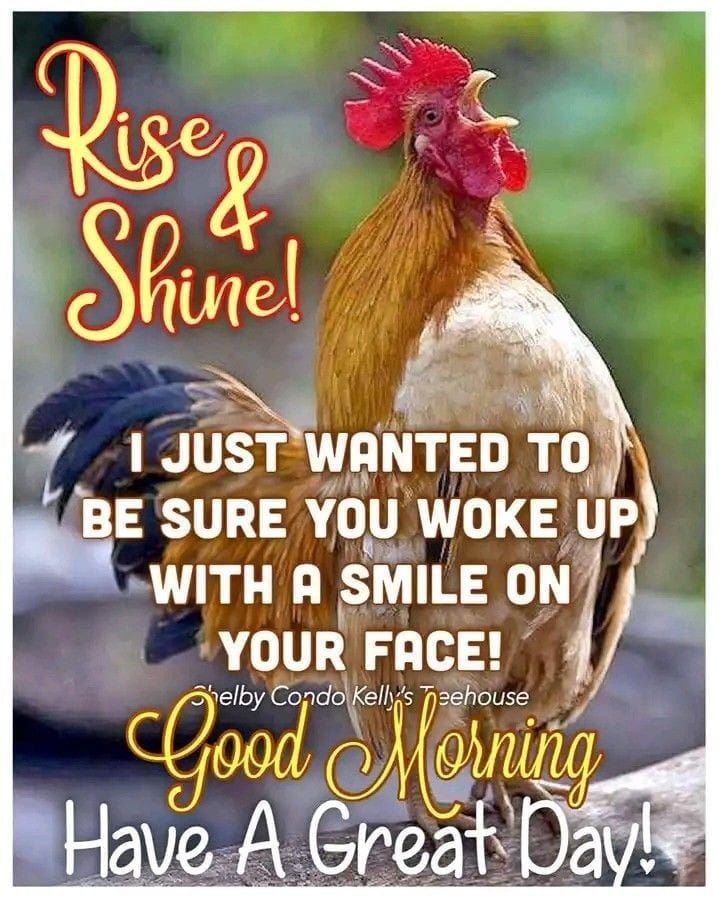 I Just Wanted To Be Sure You Woke Up With A Smile On Your Face! Good Morning Pictures, Photos ...