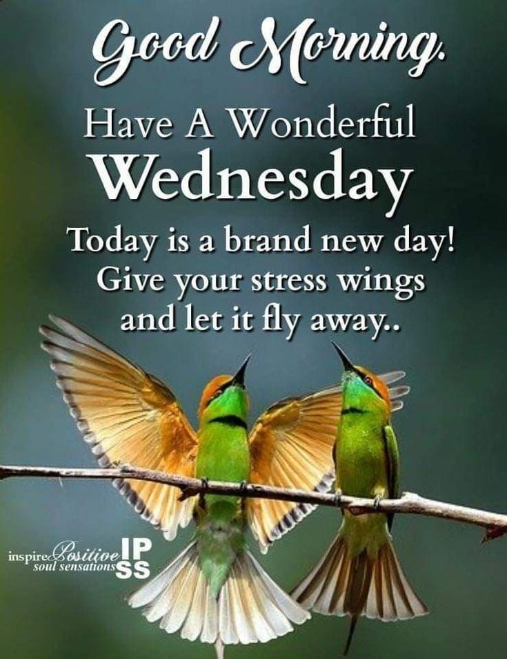 Have A Wonderful Wednesday Pictures, Photos, and Images for Facebook ...