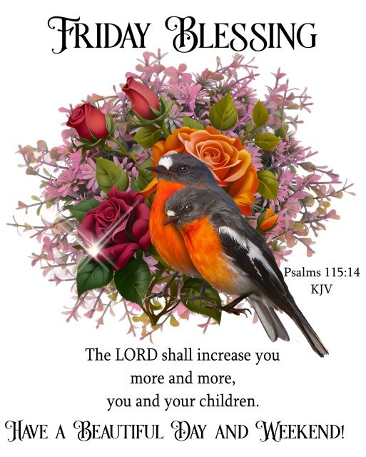 Friday Blessing With Beautiful Birds Pictures, Photos, and Images for ...