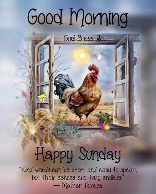 Rooster Good Morning Sunday Message Pictures, Photos, and Images for ...