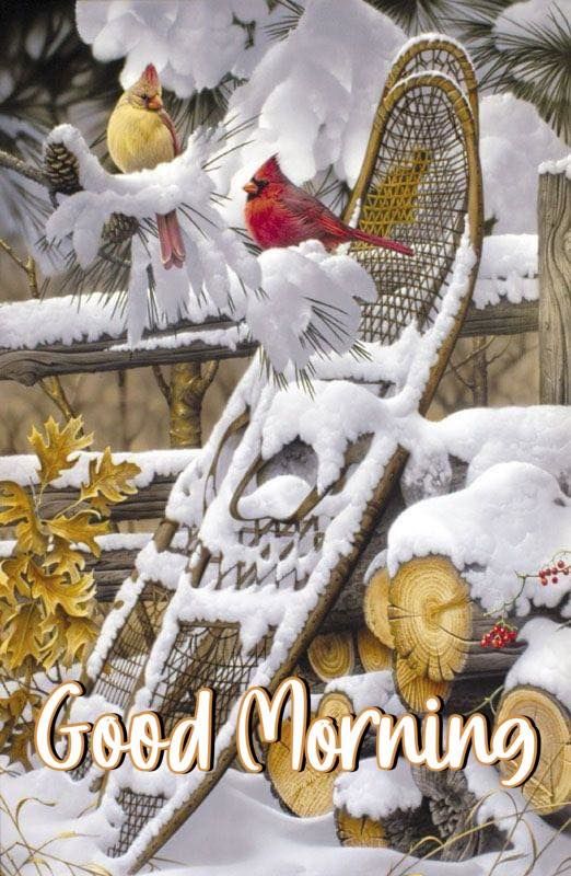 Winter Birds - Good Morning To You! Pictures, Photos, and Images for ...