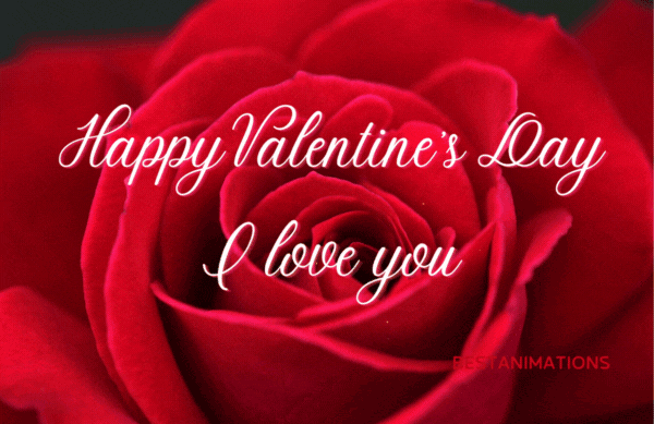 Happy Valentine's Day, I Love You Pictures, Photos, and Images for ...