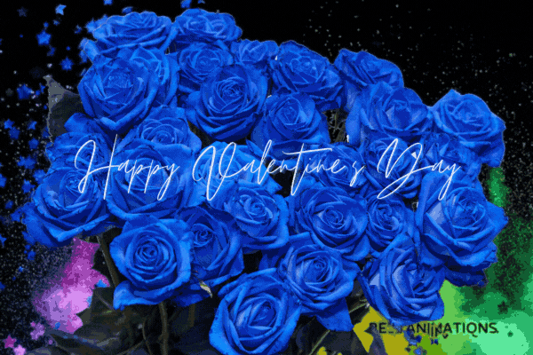 Blue Rose - Happy Valentine's Day Pictures, Photos, and Images for ...