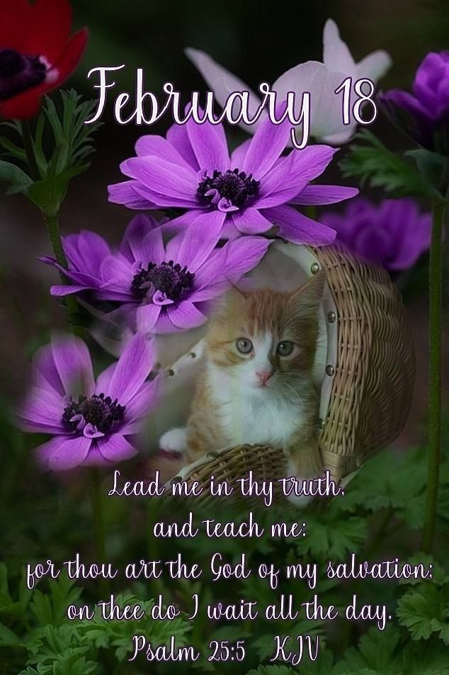 February 18 Pictures, Photos, and Images for Facebook, Tumblr ...