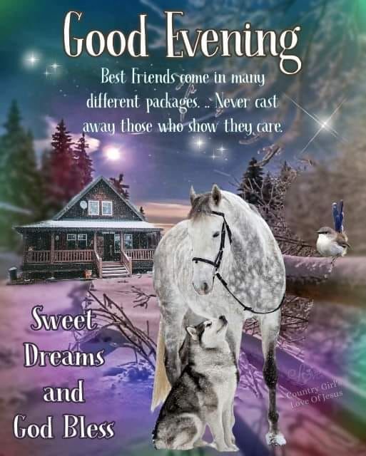 Good Evening Message For Best Friends Pictures, Photos, and Images for ...