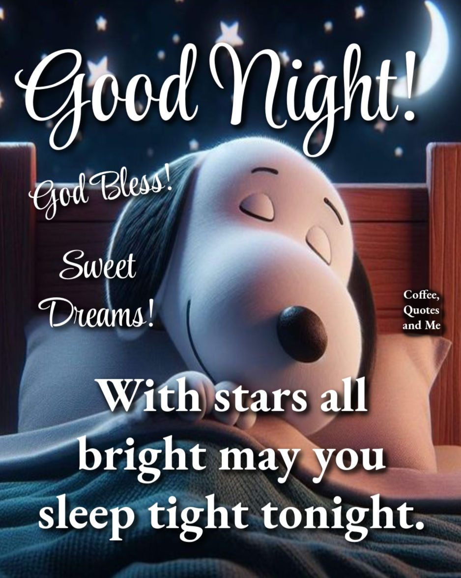 Good Night! Wish Stars All Bright, May You Sleep Tight Tonight Pictures ...